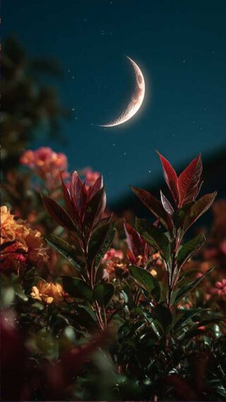 Aesthetic Wallpapers That are Cool & Fun for iPhone - The Mood Guide