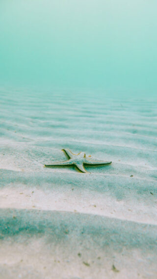 Stunning Mermaid Wallpapers for iPhone (Aesthetic, Little Mermaid and ...