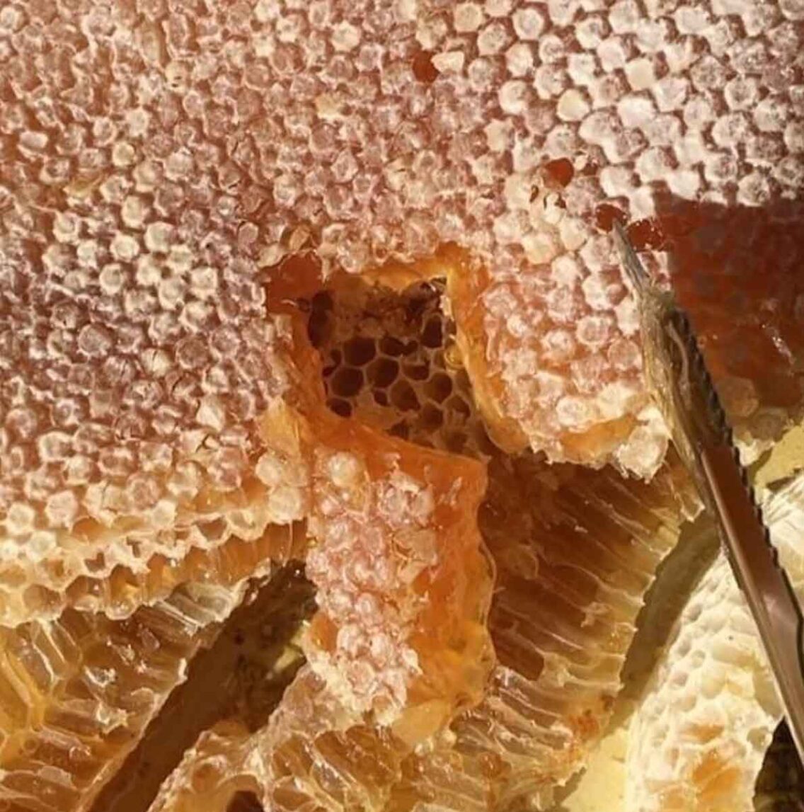 Honeycore, get Inspired by the Honey and Bee Aesthetics - The Mood Guide