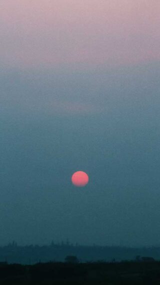 Cute & Aesthetic Sun Wallpapers to Brighten up Your Phone Screen This ...