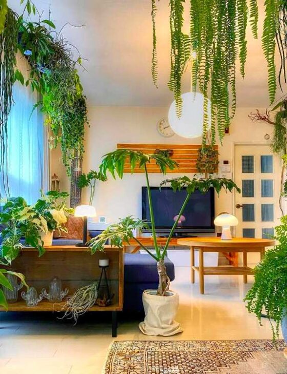 Plant Aesthetics: All The Greenery Inspiration You Need To Live In An ...