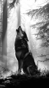 30+ Exclusive Wolf Wallpaper Ideas for iPhone - The Mood Guide