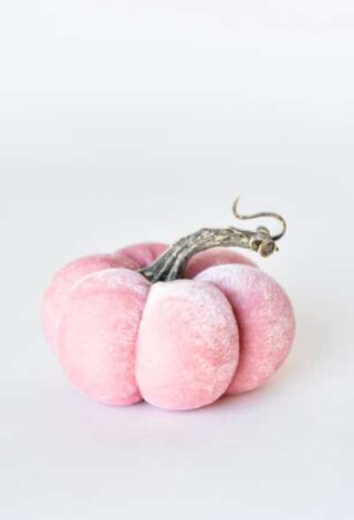 Pink Fall Decorations To Create The Coziest Girly Aesthetic In Your ...