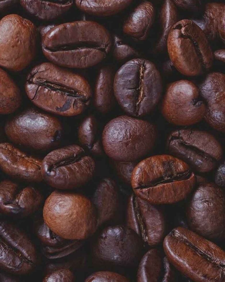 Brown Aesthetic Guide (Dark, Light, and Vintage Moods)