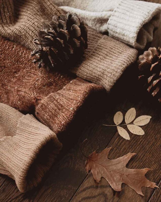 Brown Aesthetic Guide (Dark, Light, and Vintage Moods) - The Mood Guide