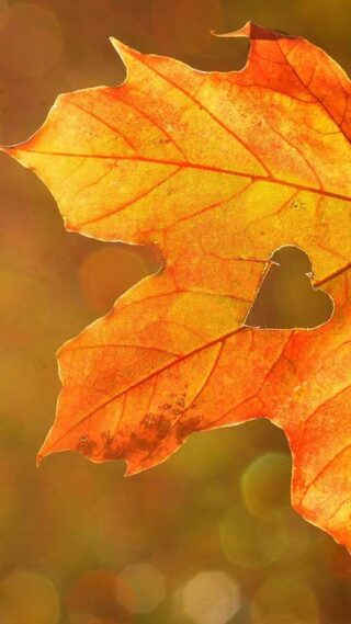 These Orange Aesthetic Wallpapers Will Bring Joy to Your Phone Screen ...