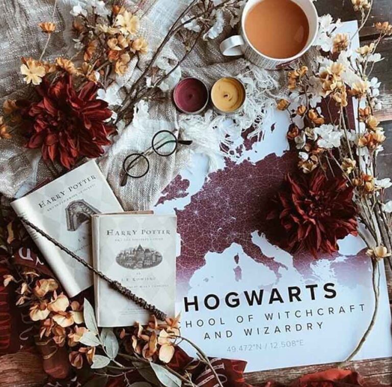 Gryffindor Aesthetic & Outfits to Help you Embrace your Heroic Self ...