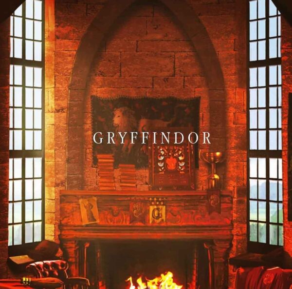Gryffindor Aesthetic & Outfits to Help you Embrace your Heroic Self ...