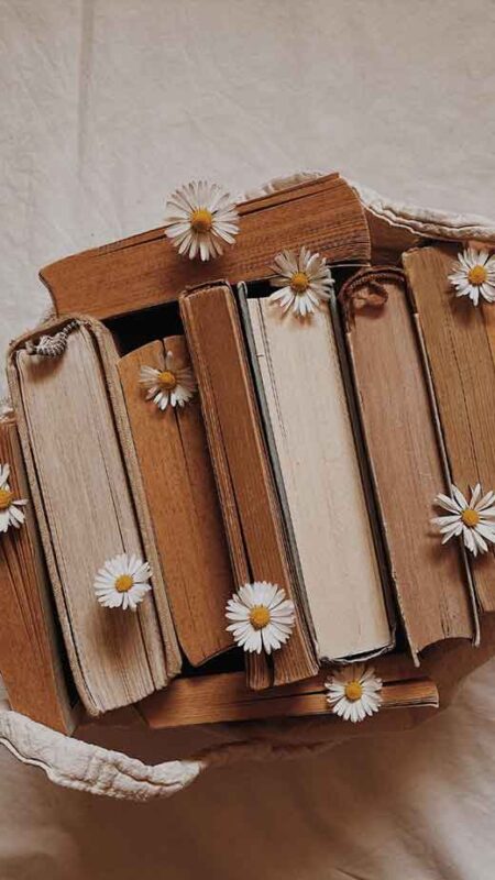 Light Academia Wallpapers that Will Inspire Some Enlightening - The ...