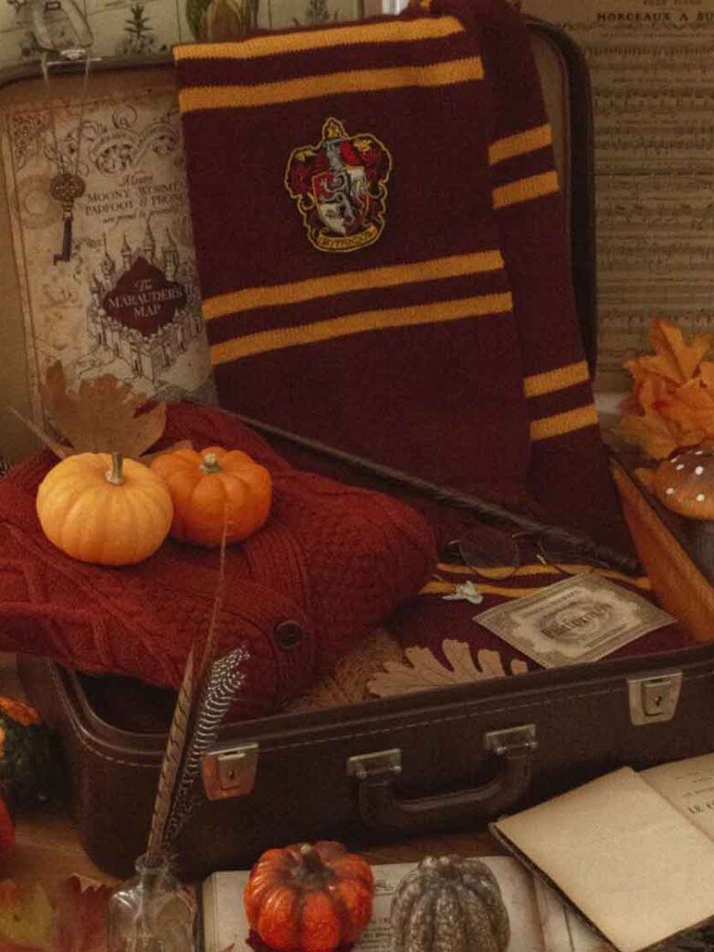 The Best Gryffindor Gifts For The Brave & The Loyal - The Mood Guide