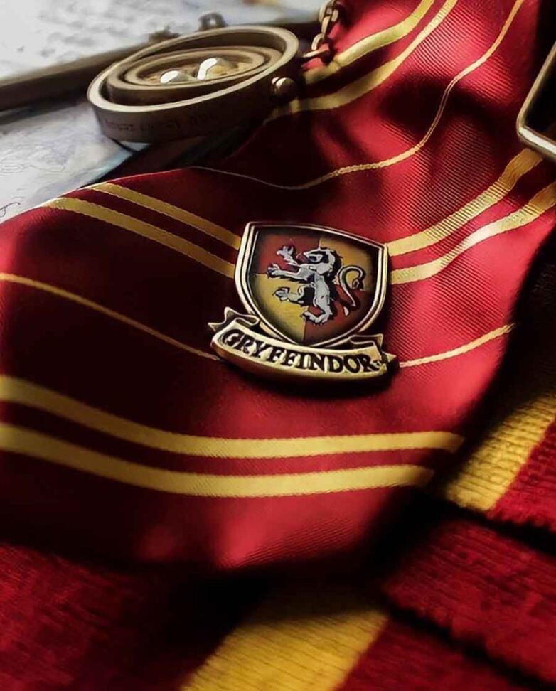 Gryffindor Aesthetic & Outfits to Help you Embrace your Heroic Self