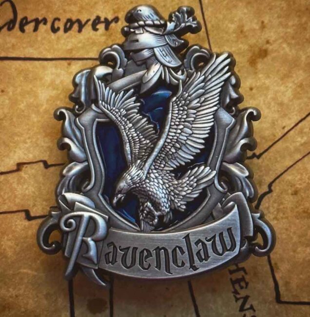 Aesthetic and Stunning Ravenclaw Gift Ideas for the Creative & Wise ...