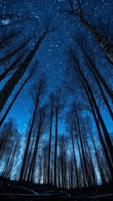 20+ Dark Blue Aesthetic Wallpapers to Give Your iPhone Screen a ...