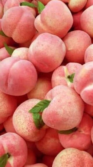 The Sweetest Peachy Aesthetic Wallpapers to Get Your Phone Screen in ...