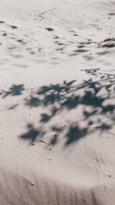 70+ Free Summer Wallpaper Ideas (Aesthetic, Cute, Tropical & More ...