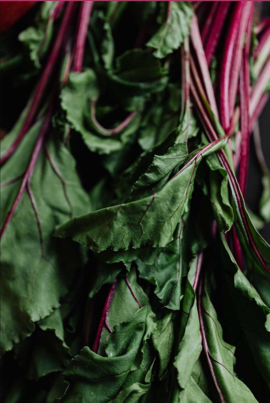 Green Aesthetic: The Symbolic Meaning of the Main Shades (and How to ...