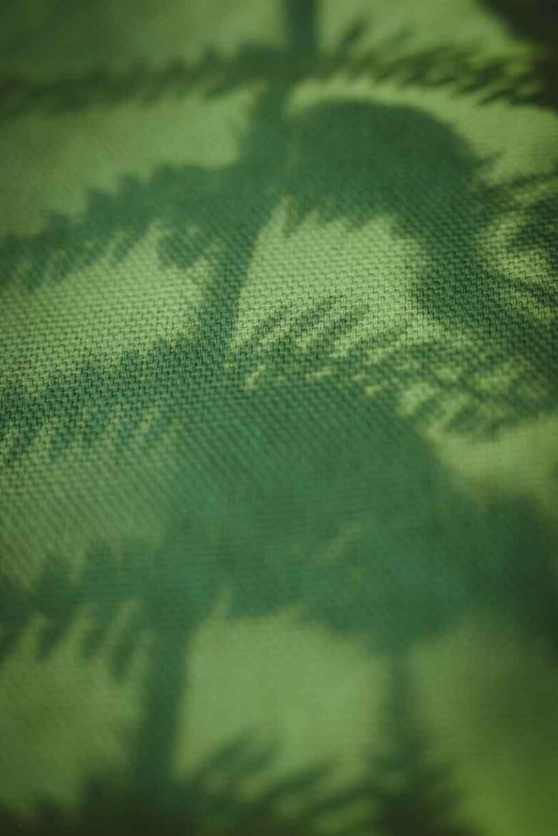 Green Aesthetic: The Symbolic Meaning of the Main Shades (and How to ...