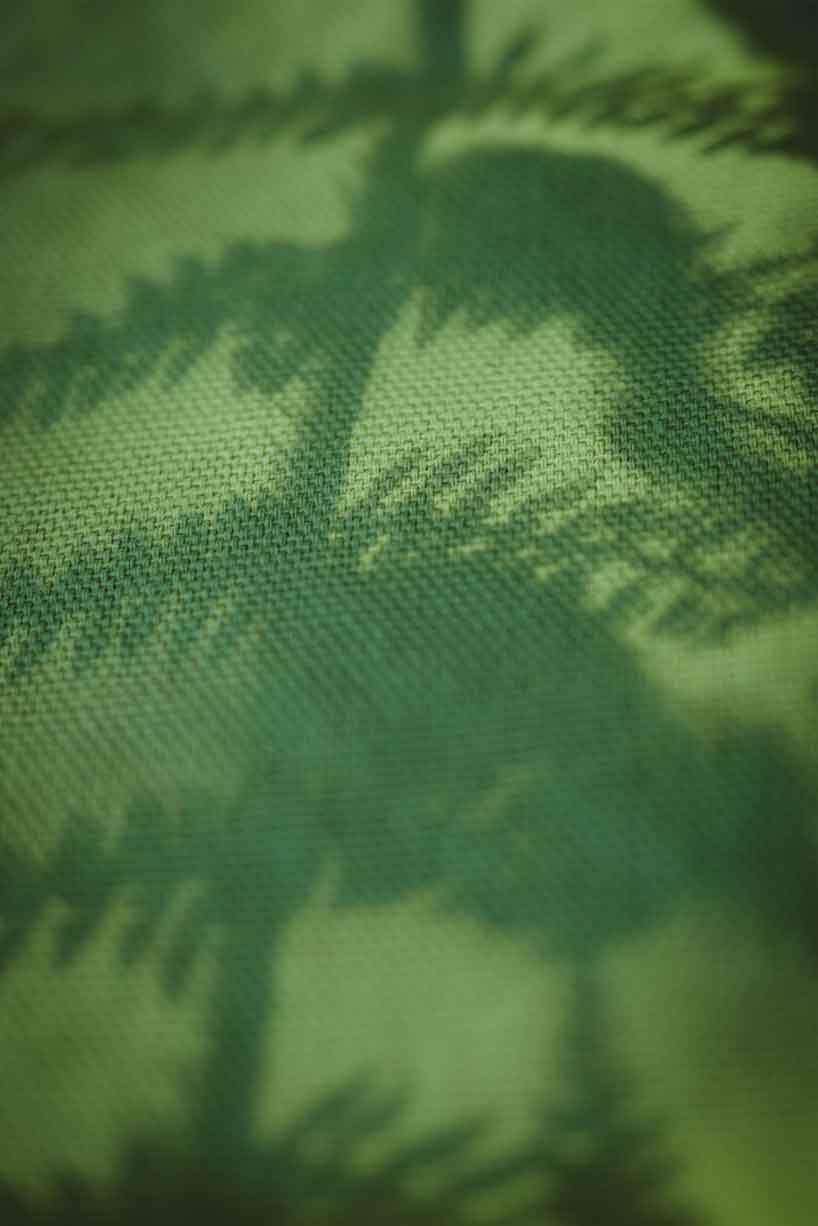 Green Aesthetic: The Symbolic Meaning of the Main Shades (and How to ...