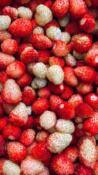 60+ Aesthetic Strawberry Wallpapers for iPhone & Desktop (Free and HD ...