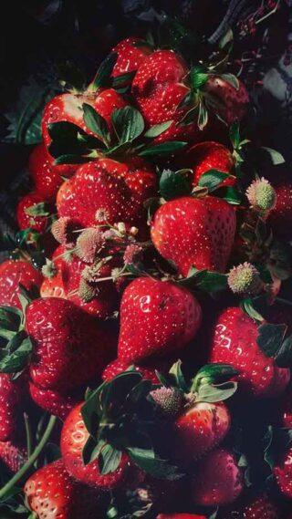 60+ Aesthetic Strawberry Wallpapers for iPhone & Desktop (Free and HD ...