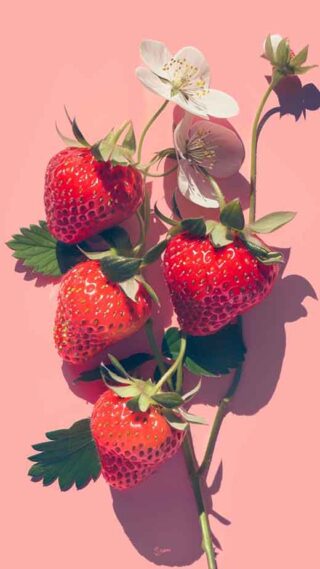 60+ Aesthetic Strawberry Wallpapers for iPhone & Desktop (Free and HD) - The Mood Guide
