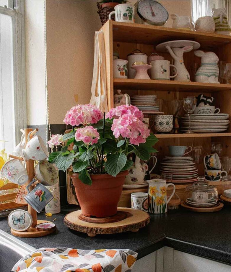 Authentic Cottagecore Kitchen Ideas to Feel Like Cooking in an ...